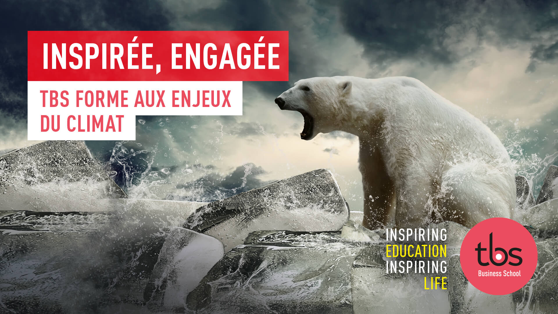 TBS lance la formation Action Climat | TBS Education